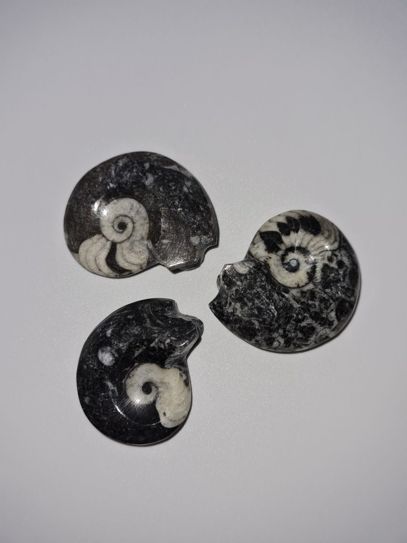 Southern Cross Dreaming – Crystal Legends – Wholesale gems, crystals ...