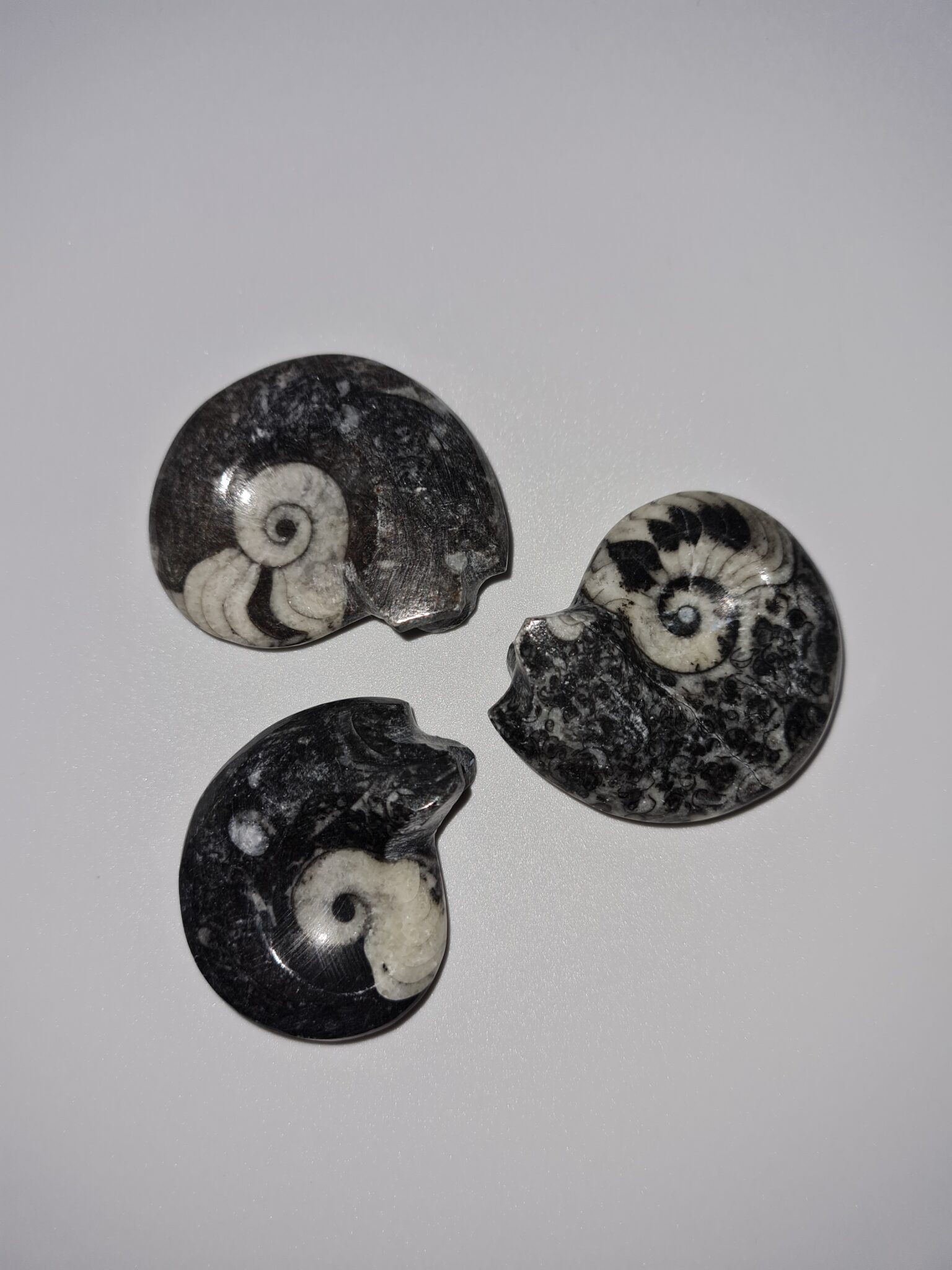 Southern Cross Dreaming – Crystal Legends – Wholesale gems, crystals ...